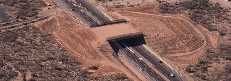 Oracle Road Wildlife Bridge named for former Pima County Supervisor Ann ...
