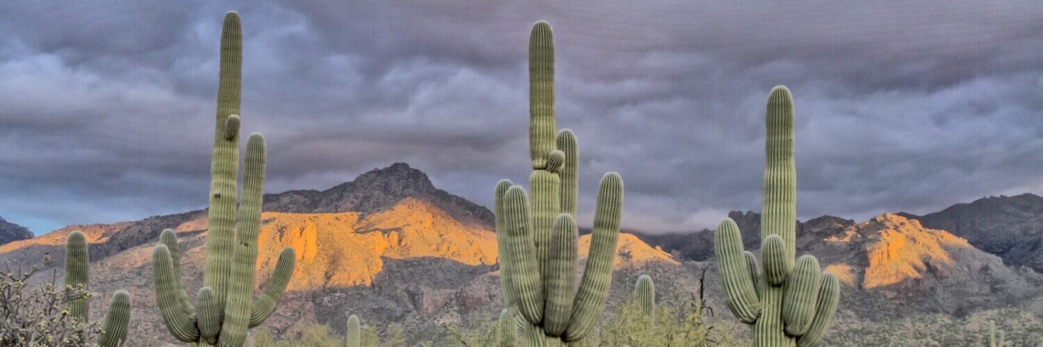 Coalition for Sonoran Desert Protection - A strong voice for people and ...